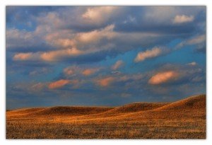 Forward Thinking - Nature and Landscape Photography - Brad Mangas