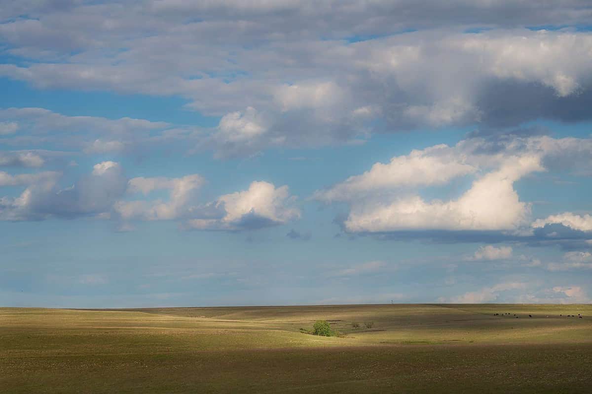 From Change To Transition - Nature and Landscape Photography - Brad Mangas