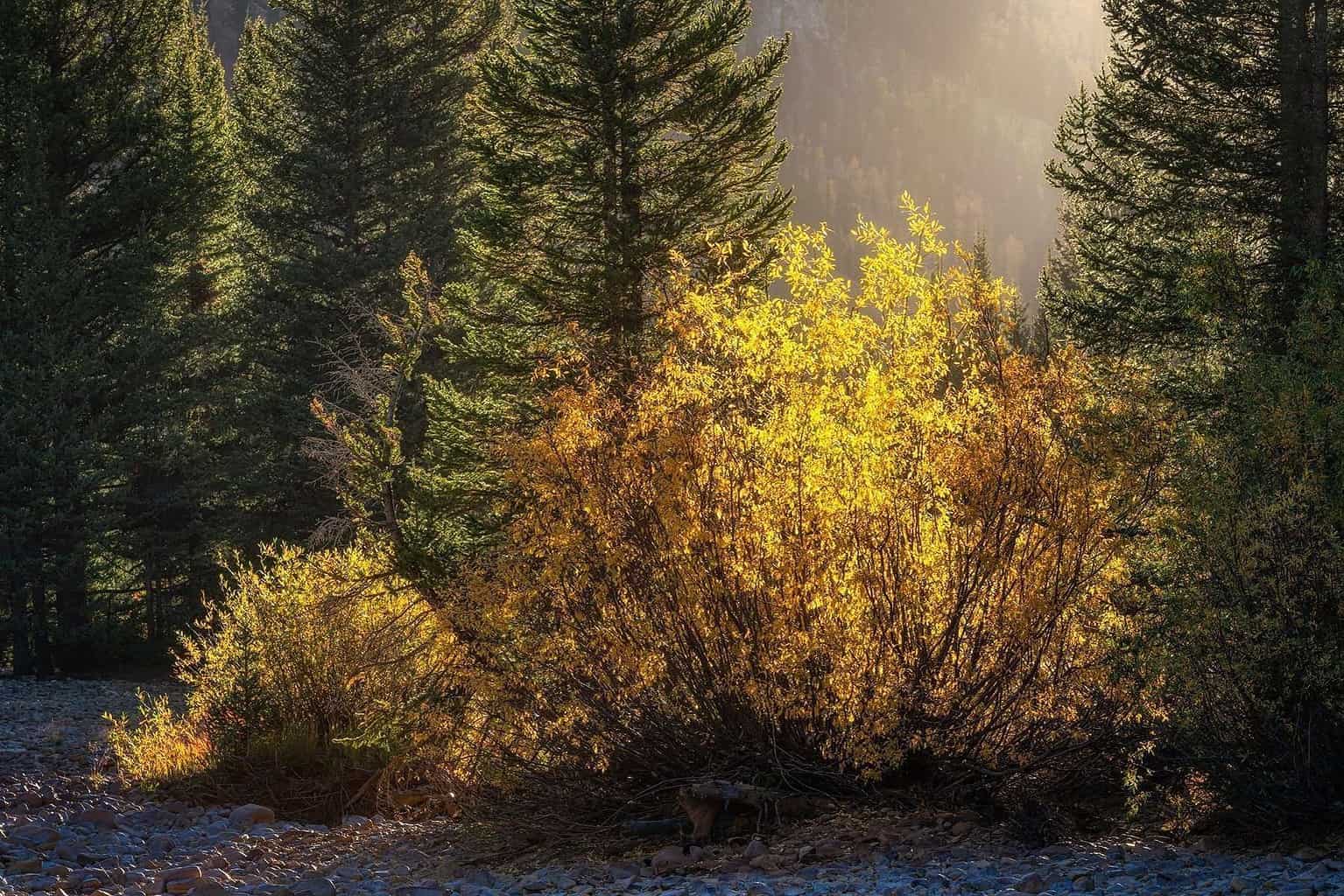 Resistance - That Voice In Your Head - Nature and Landscape Photography ...