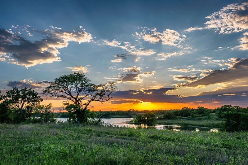 Discover Nature's Power for a Better Life