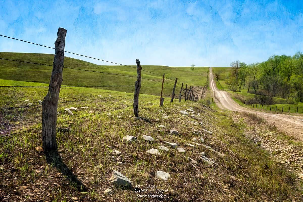 Textures - Nature and Landscape Photography - Brad Mangas